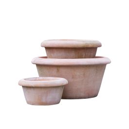 ROSA - PATINA | B Green • Europe's largest provider of patinated and ...