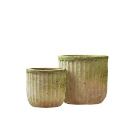 ELISA - PATINA | B Green • Europe's largest provider of patinated and ...